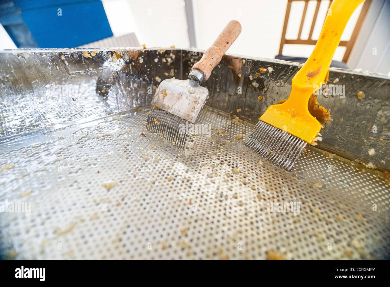 Two Capping Scratchers for Beekeeping Bee Honey in a Gooey Decapping ...