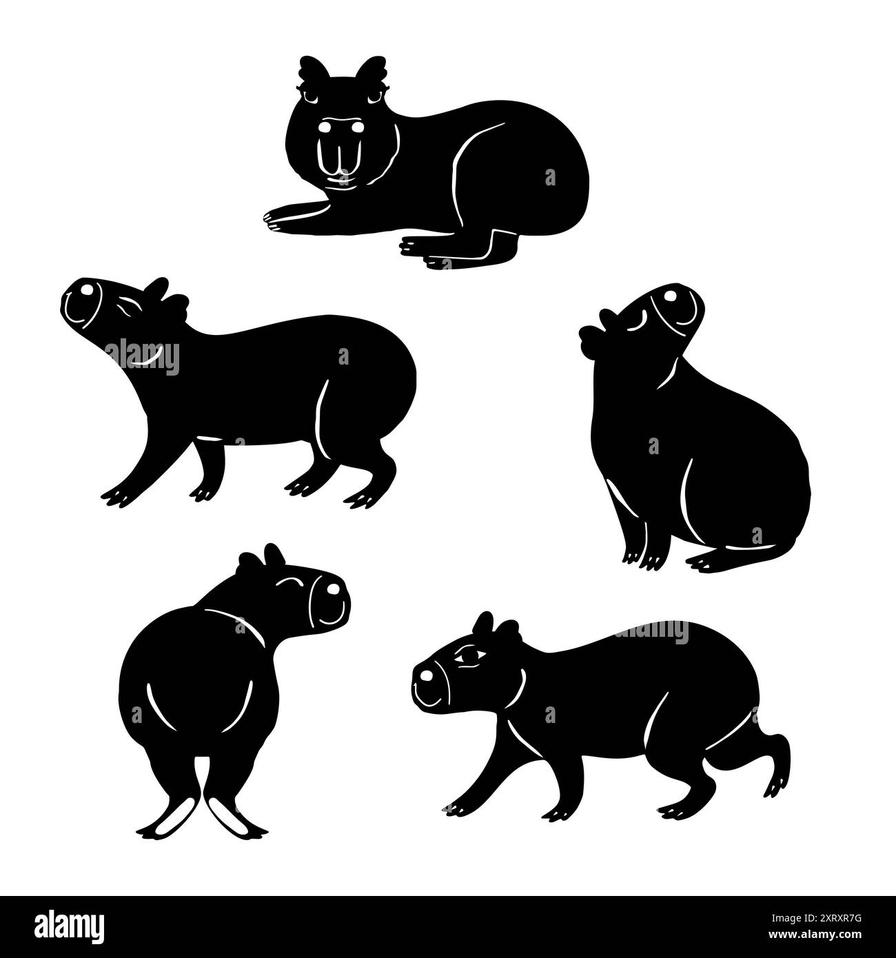 Cute capybara animal rodent Black and White Stock Photos & Images - Alamy