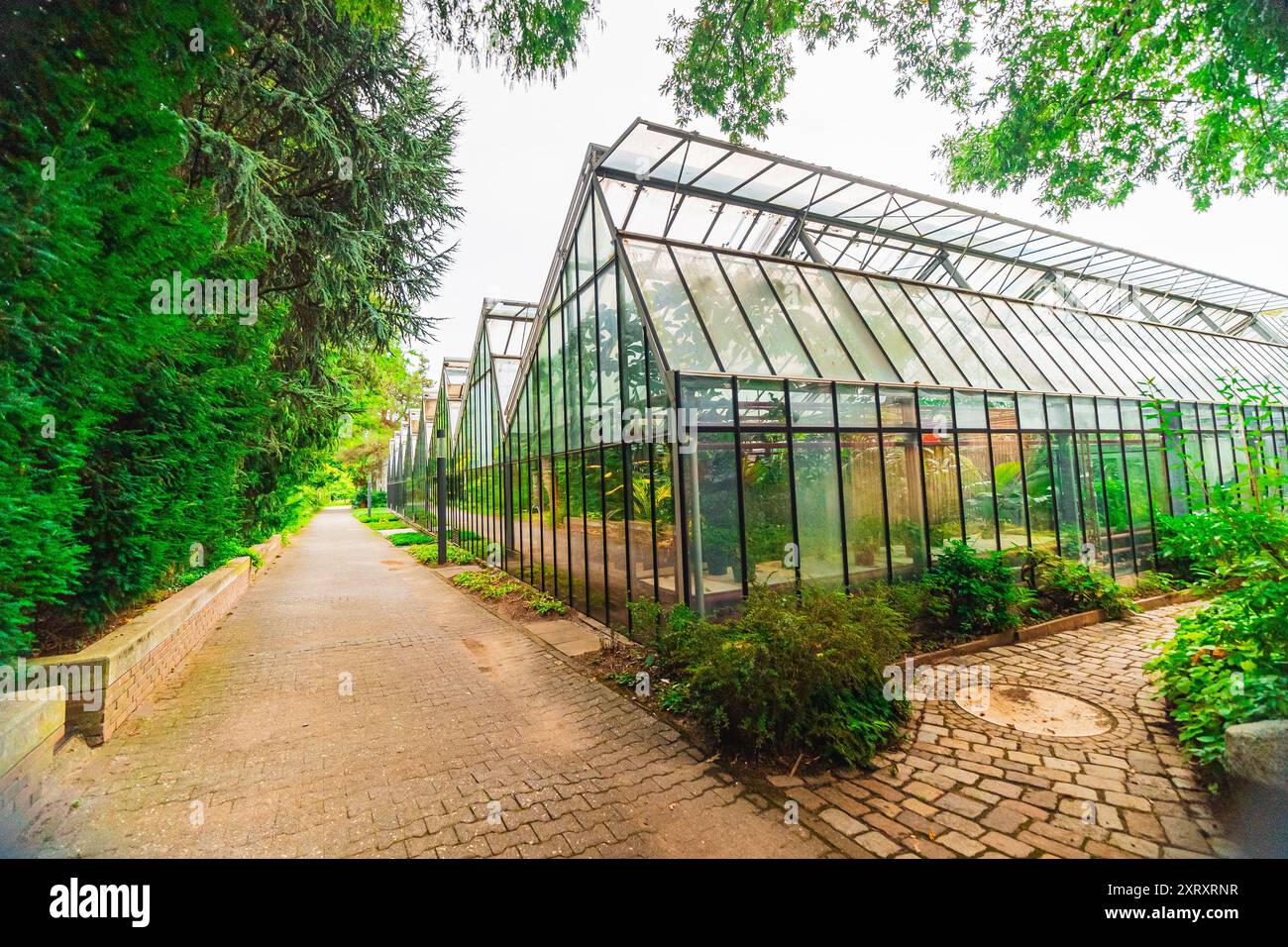 Glass Greenhouse Building in a Plantation for the Growth of Plants ...