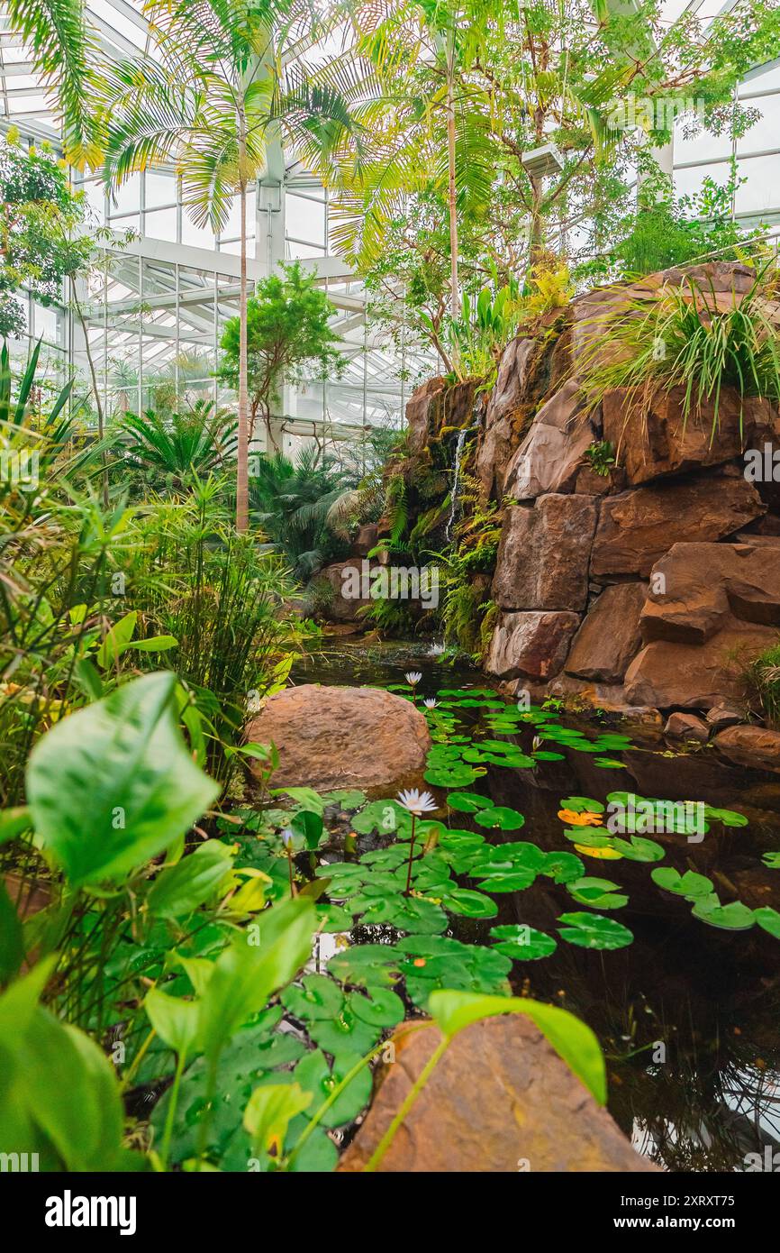Pond With Water Lilies in Ecological Biotope Garden Building With Rocks ...