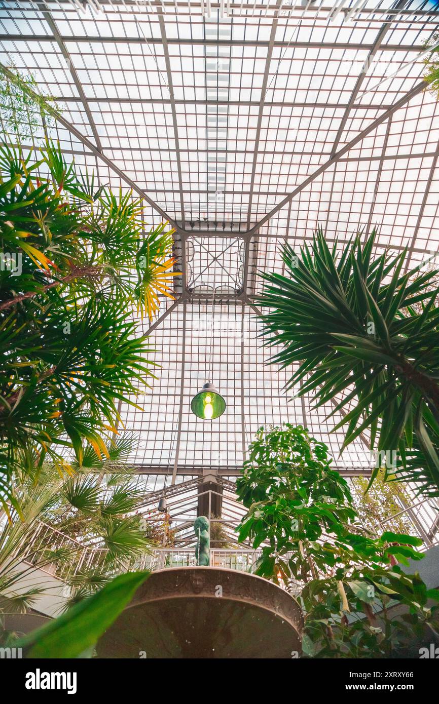 Glass Ceiling of a Large Green House Stock Photo - Alamy