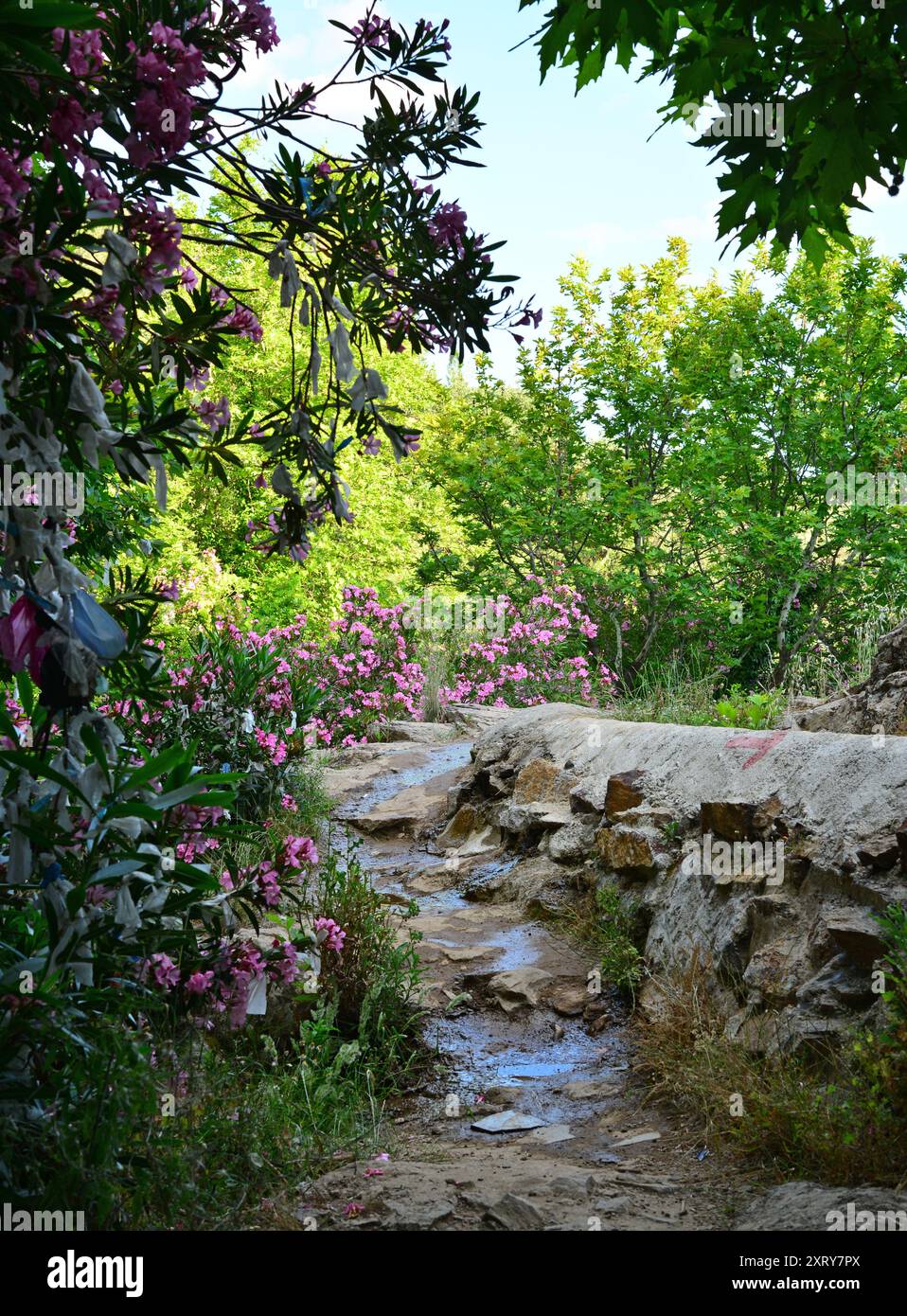 Nebiler Waterfall and Aglayan Cave, located in Dikili, Izmir, Turkey ...