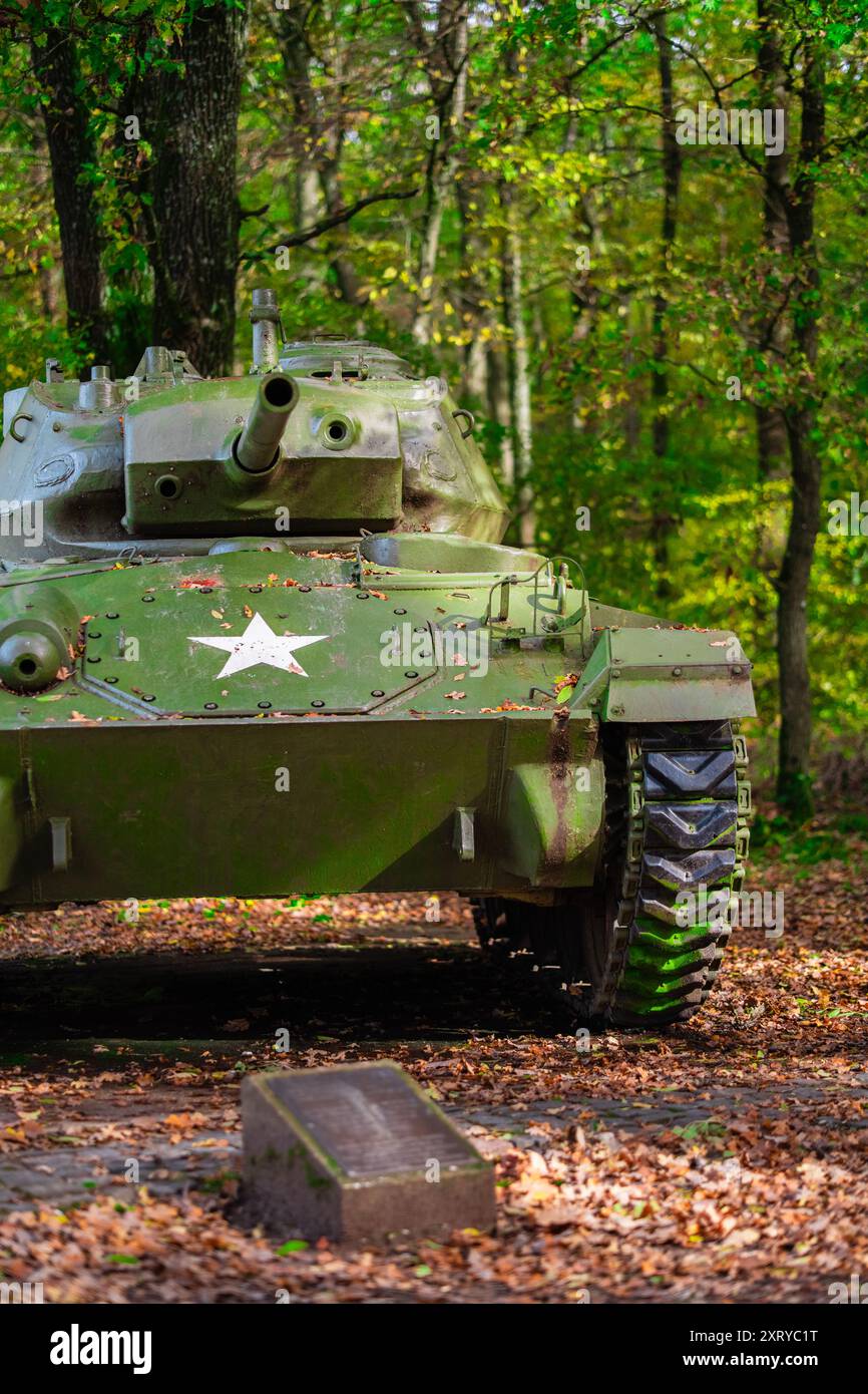 Green Military Tank Standing in the Forest Viewed from the front Stock ...