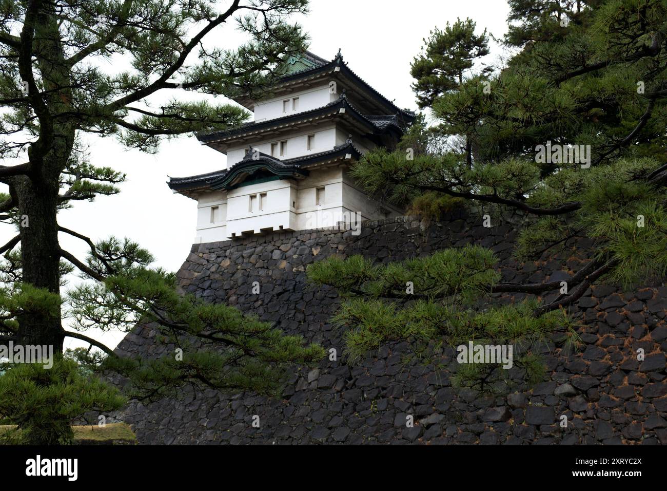 Imperial Palace and grounds, Tokyo, Japan. Edo, old Japan Stock Photo ...