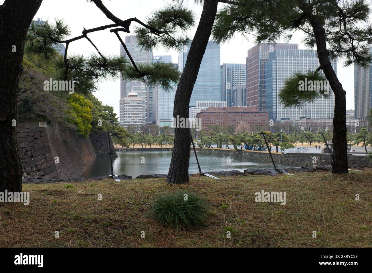 Imperial Palace and grounds, Tokyo, Japan. Edo, old Japan Stock Photo ...