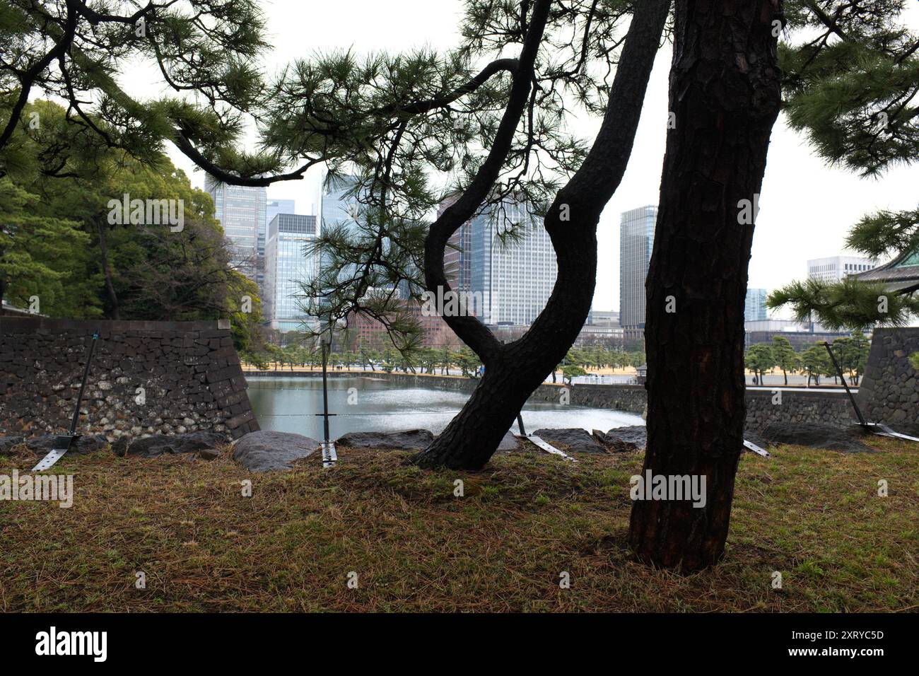 Imperial Palace and grounds, Tokyo, Japan. Edo, old Japan Stock Photo ...