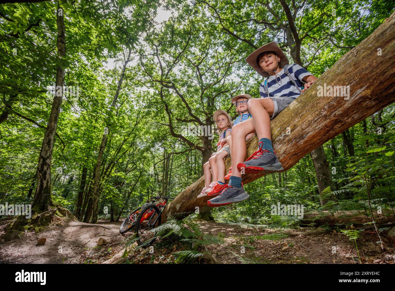 Three children wear hats sit on a large fallen tree in forest Stock ...