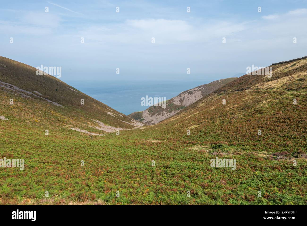 Landscape photo of the South West Coastpath at Foreland Point on the ...