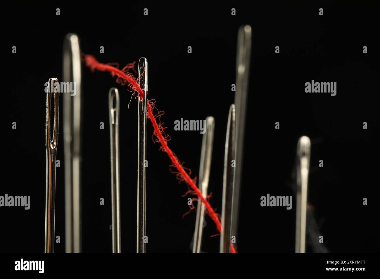 Sewing needle with red thread among ones on black background, closeup ...