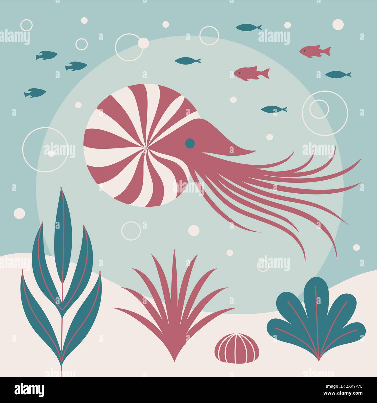 A flat art vector illustration featuring a Nautilus Stock Vector Image ...