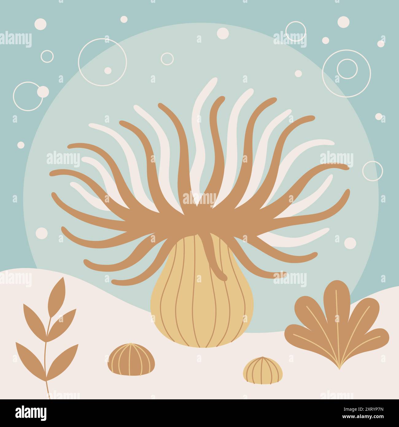 Colorful sea anemone fish Stock Vector Images - Alamy