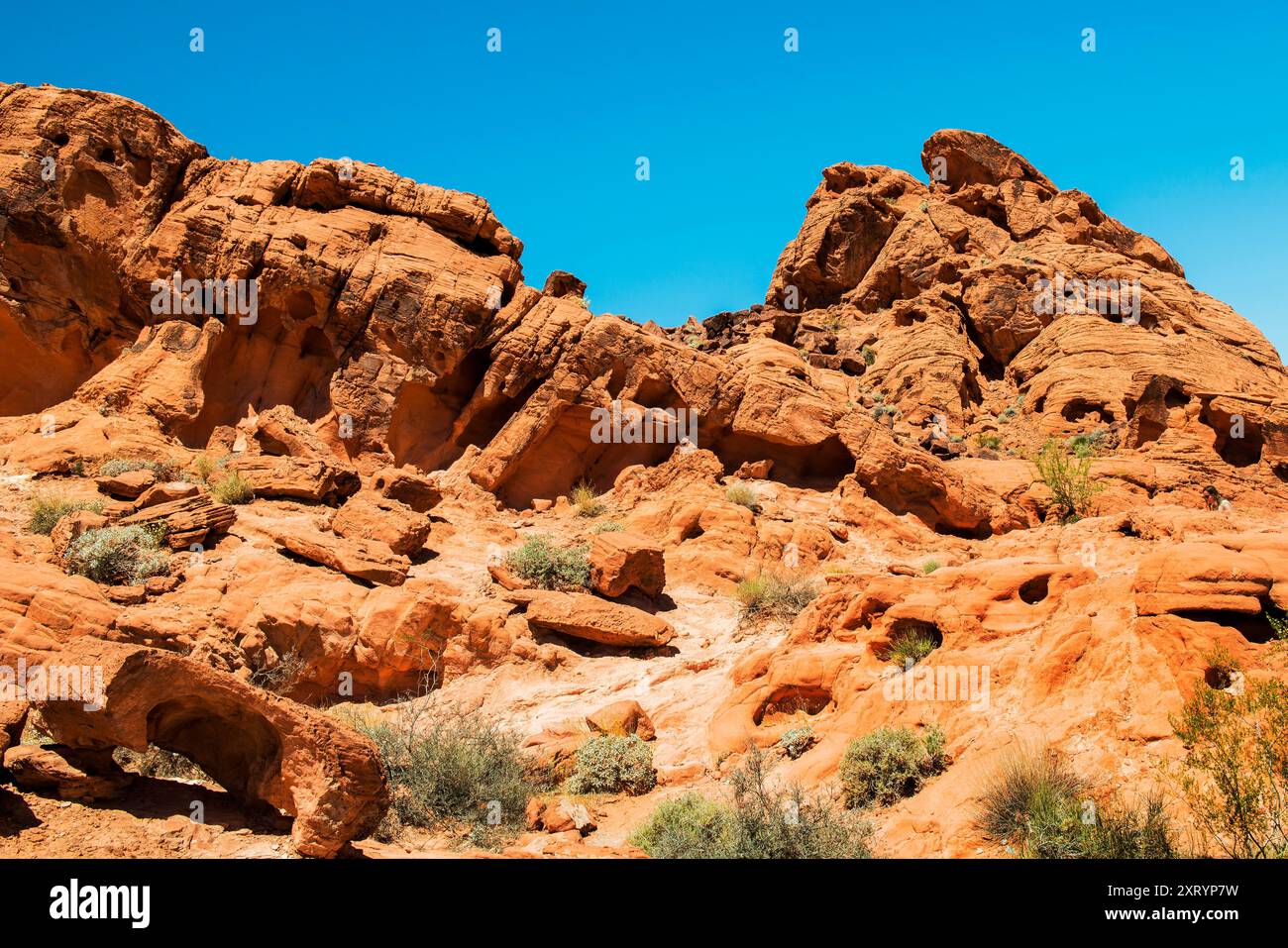 Valley of Fire State Park, Mojave Desert, Nevada Stock Photo - Alamy