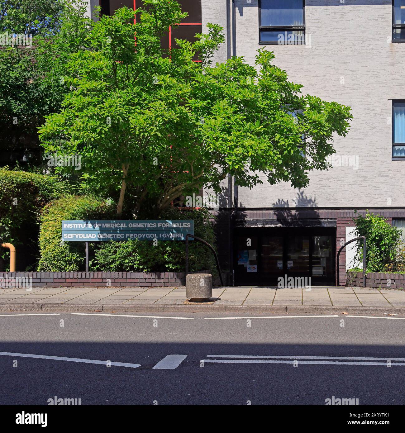 Universiy hospital of wales hi-res stock photography and images - Alamy