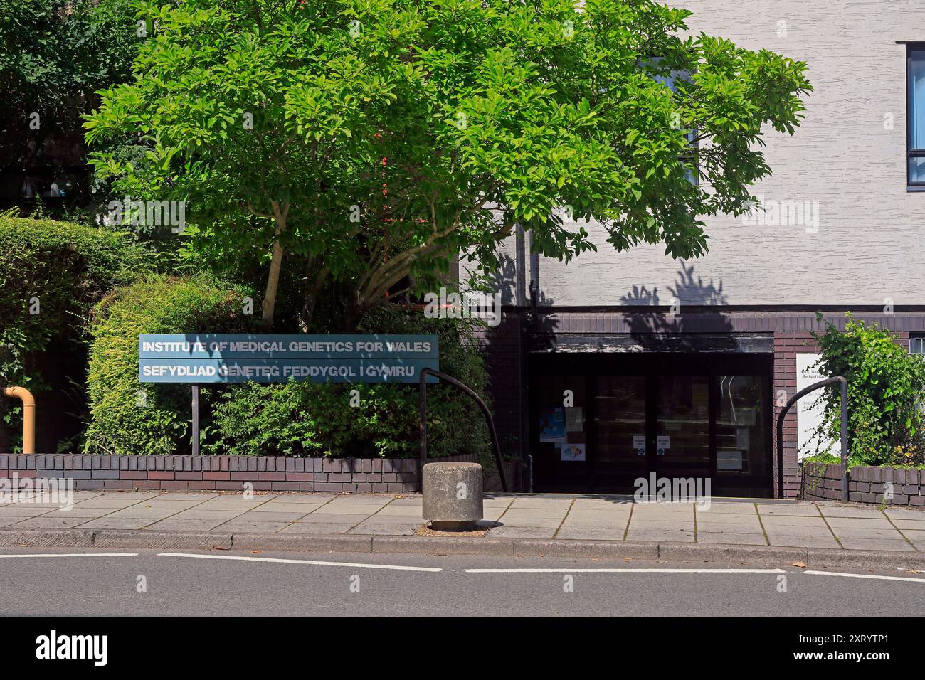 Universiy hospital of wales hi-res stock photography and images - Alamy