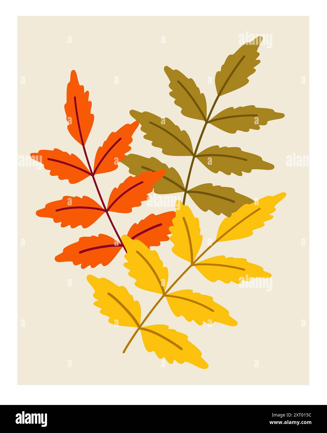 Colorful autumn leaves showcasing vibrant hues of orange, yellow, and ...