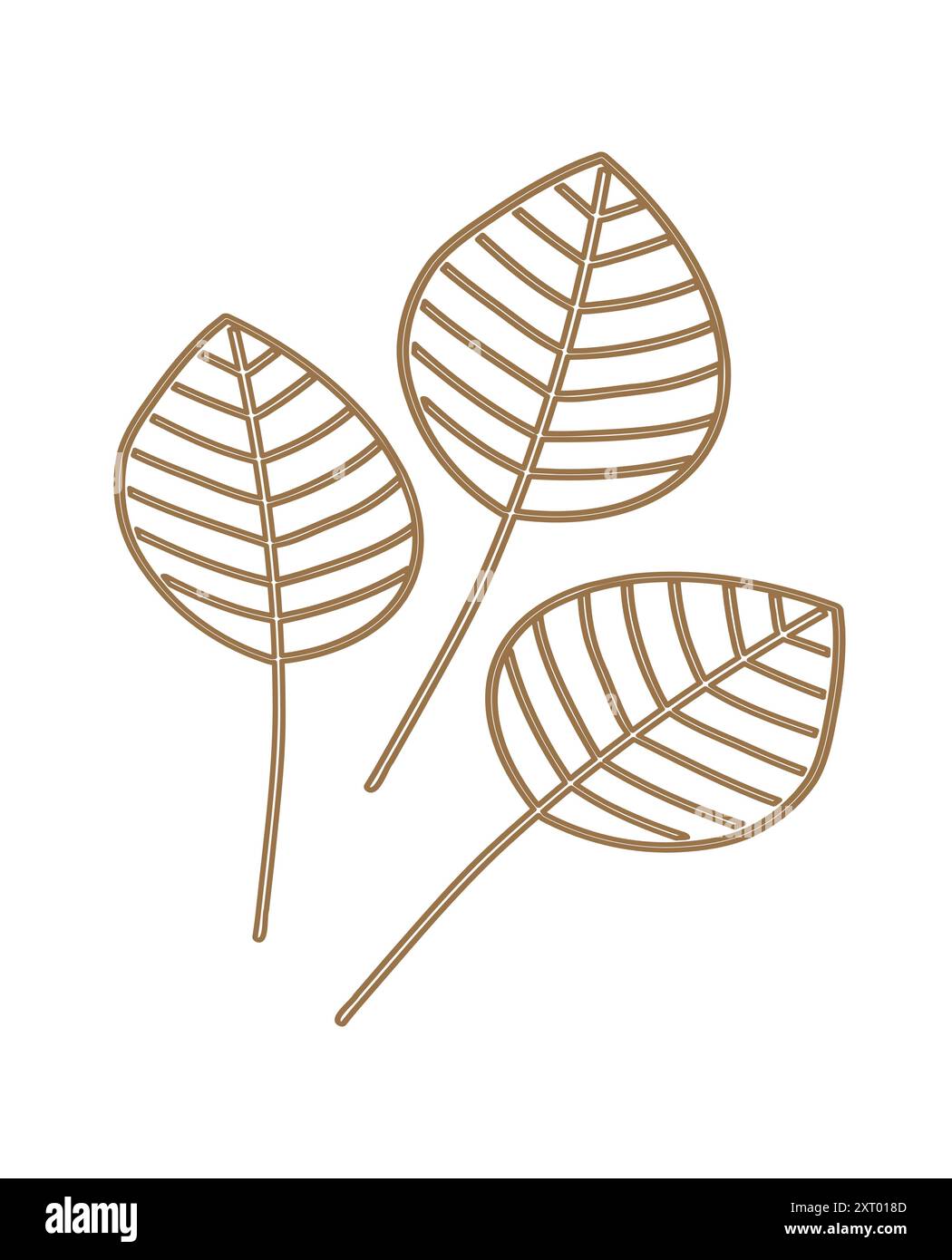 Emphasizing unique leaf shapes hi-res stock photography and images - Alamy