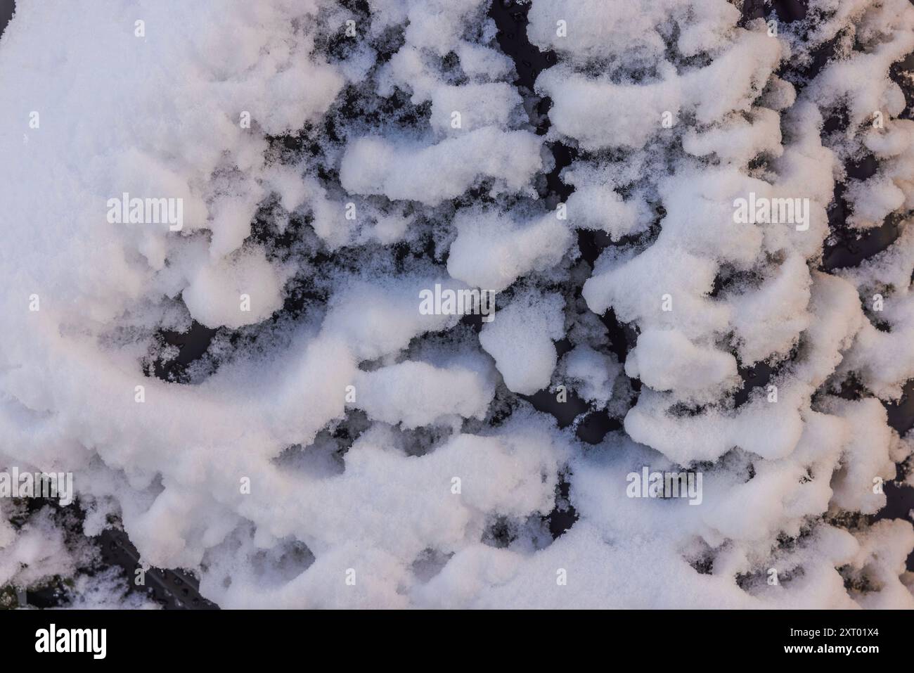 Snow covering branches of fir trees, creating layers and patterns on ...