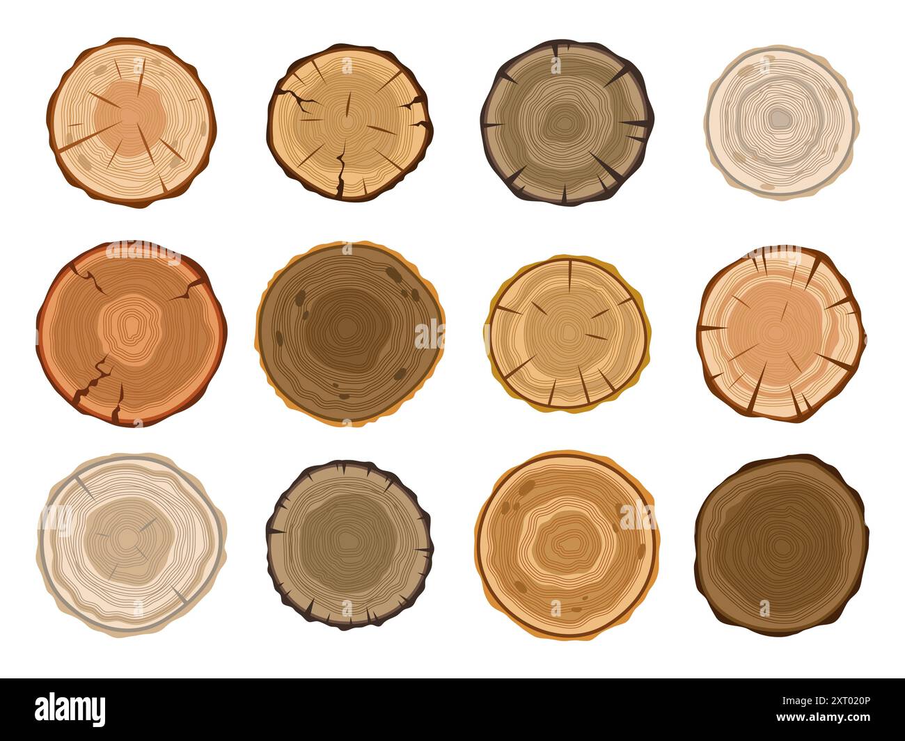 Wooden trunk cuts. Annual tree rings, stump, top view, circle textures, logs cross sections ...