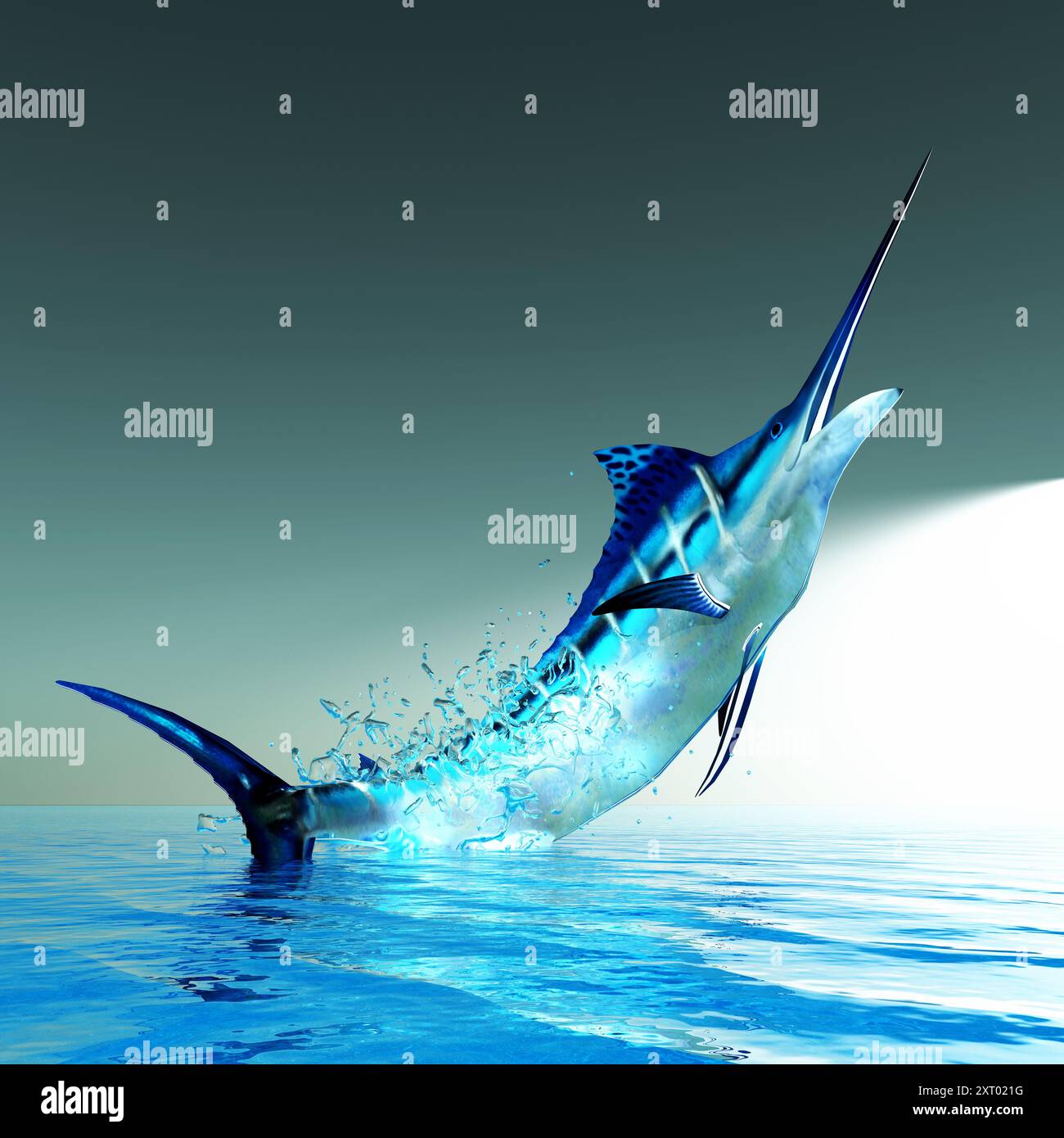 The Atlantic Blue Marlin fish is the largest bony fish and is a popular ...