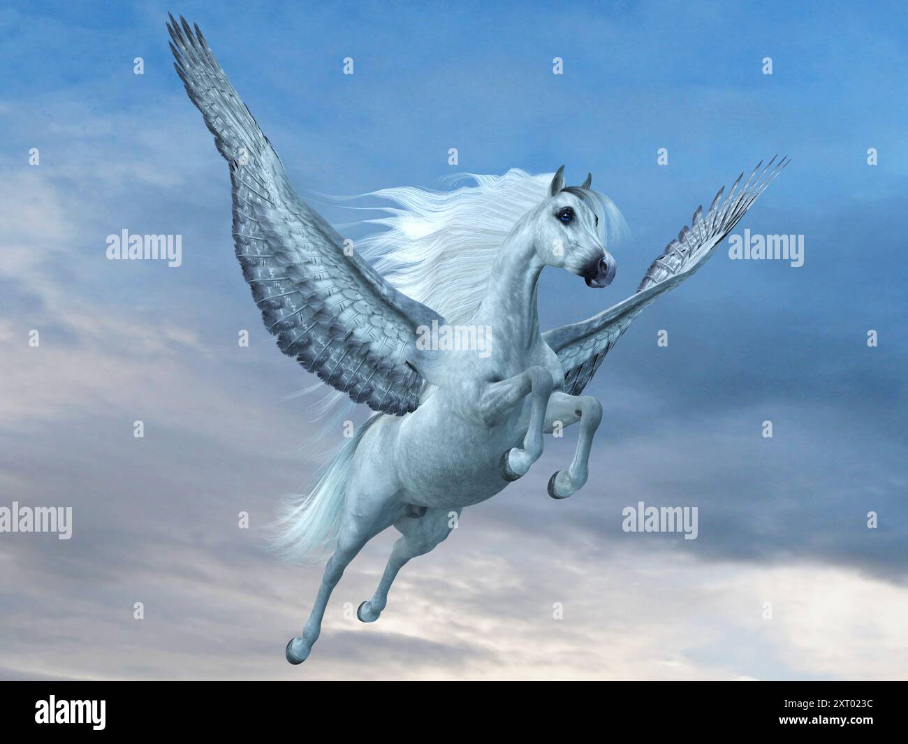 Animals Pegasus Horses Wings 589 Pegasus Wings Stock Photos, High Res