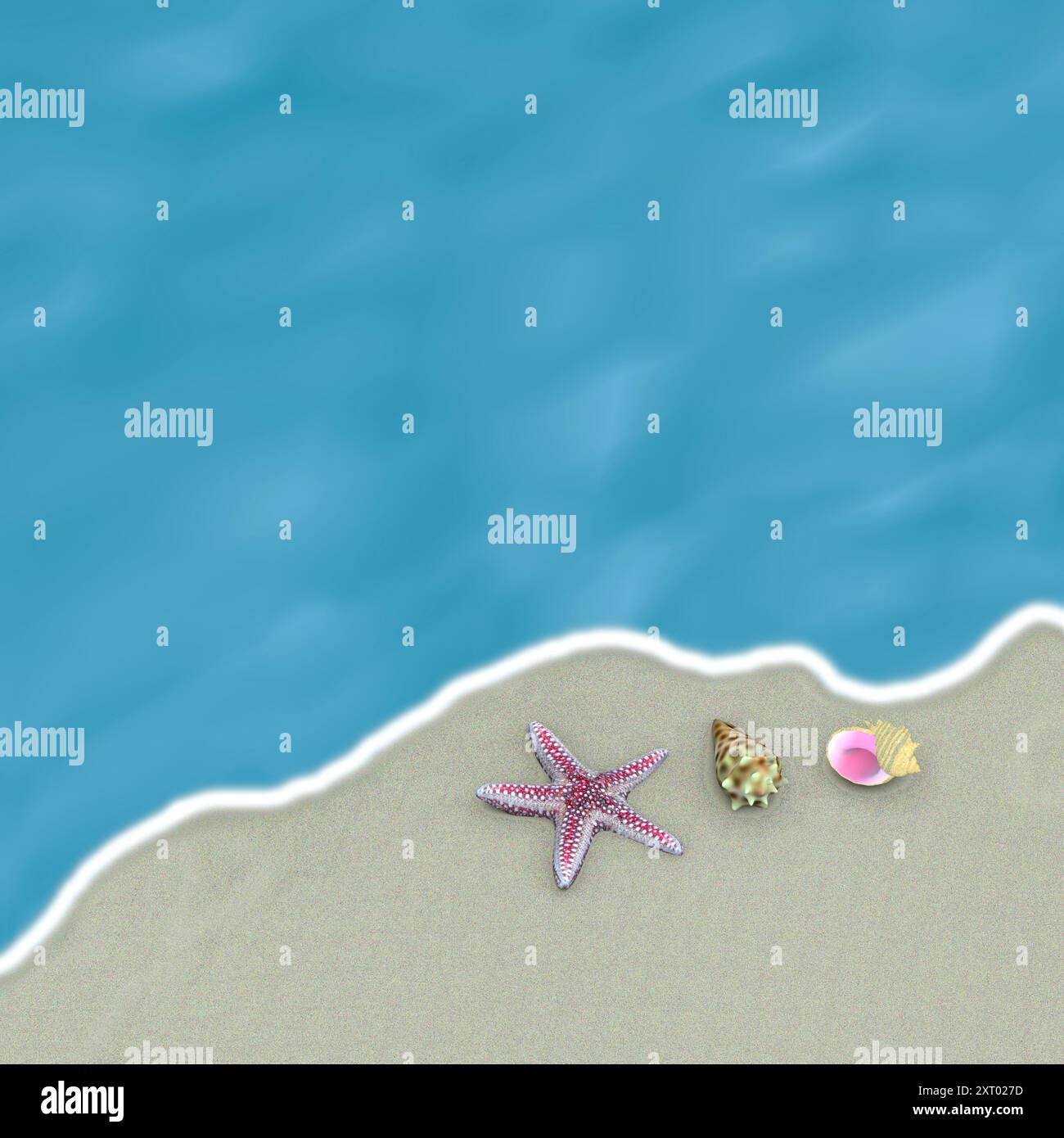 Starfish laying on sandy hi-res stock photography and images - Alamy