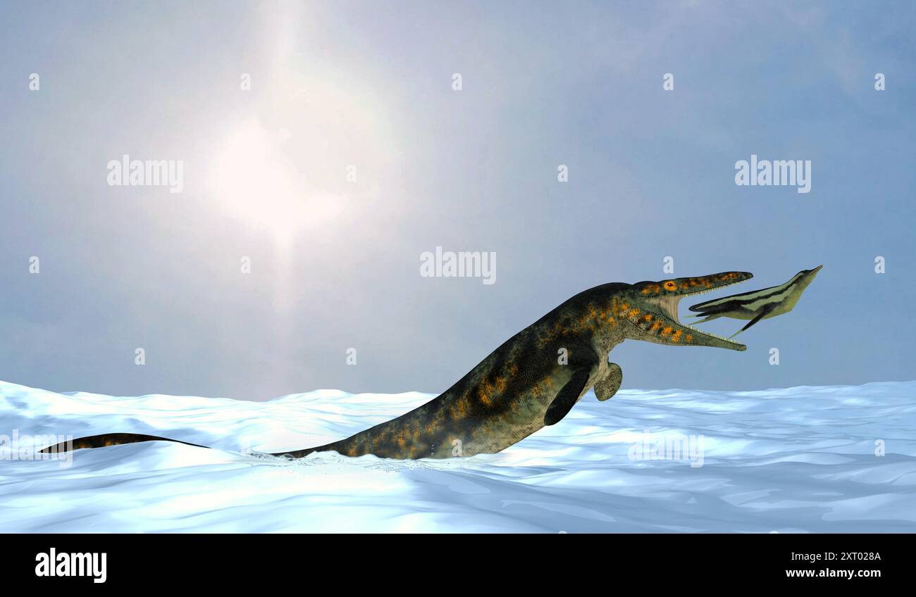 Tylosaurus marine reptile hunts a Dolichorhynchops during the ...
