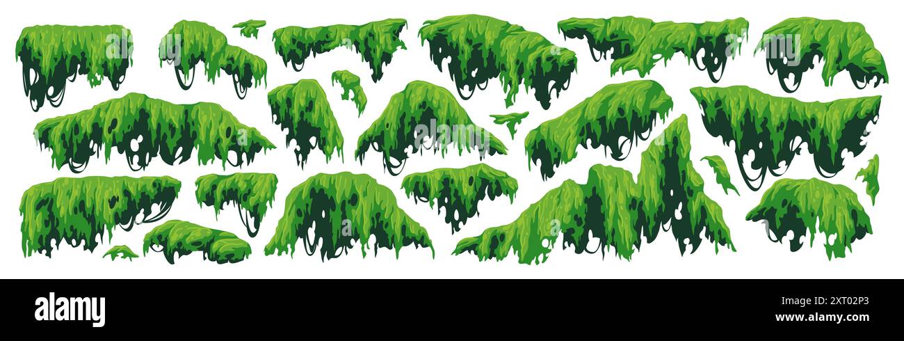 Green swamp moss. Hanging and creeping jungle plants, rainy forest and ...