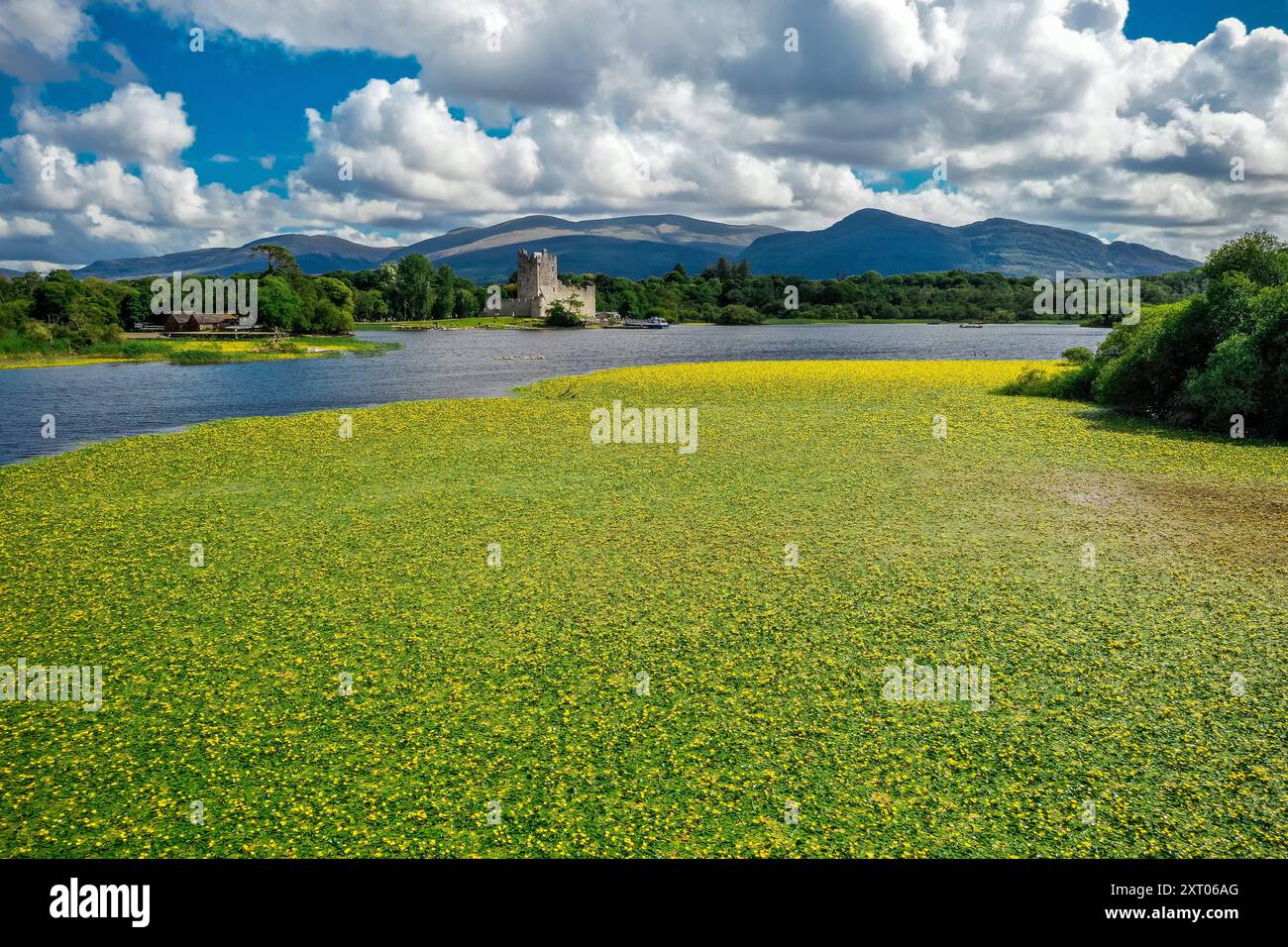 Aerial view of Ross Castle, a 15th-century fortress on Lough Leane ...
