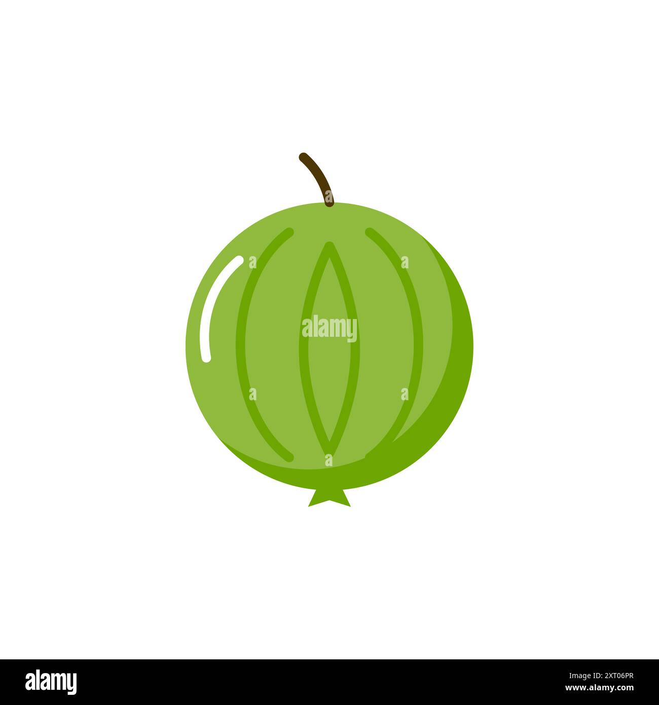 Gooseberry vector health food fruit natural vitamin goose berry green ...