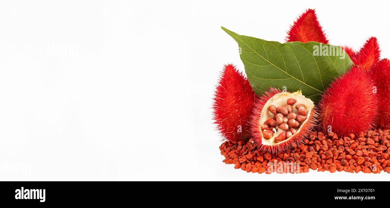 Pile of organic annatto seeds - Seasoning and red food coloring. Bixa ...