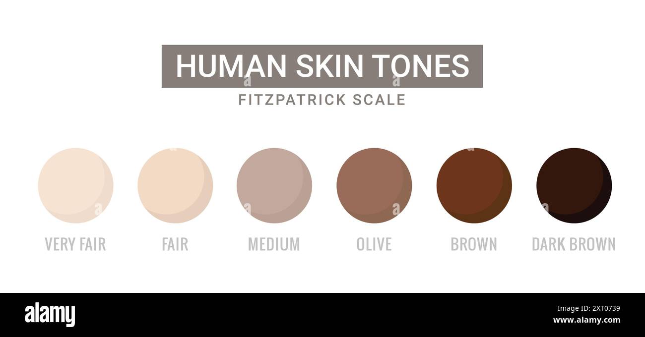 Brown Skin Tone Chart Skin Colors Chart Stock Vector. Illustration Of