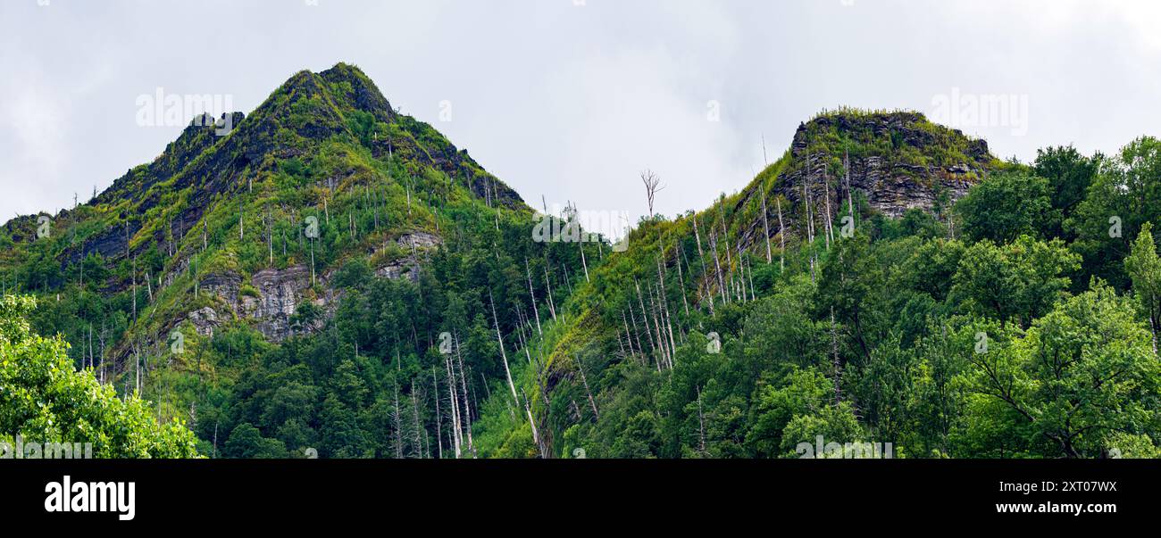 Great Smoky Mountains National Park, Tennessee, USA- July 21, 2024 ...