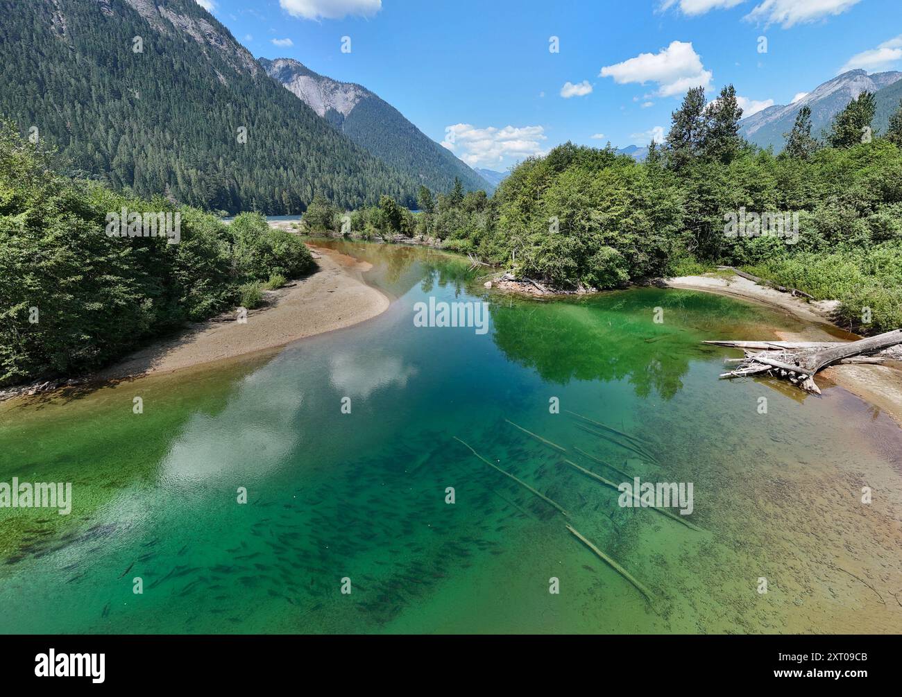 Fraser thompson hi-res stock photography and images - Alamy