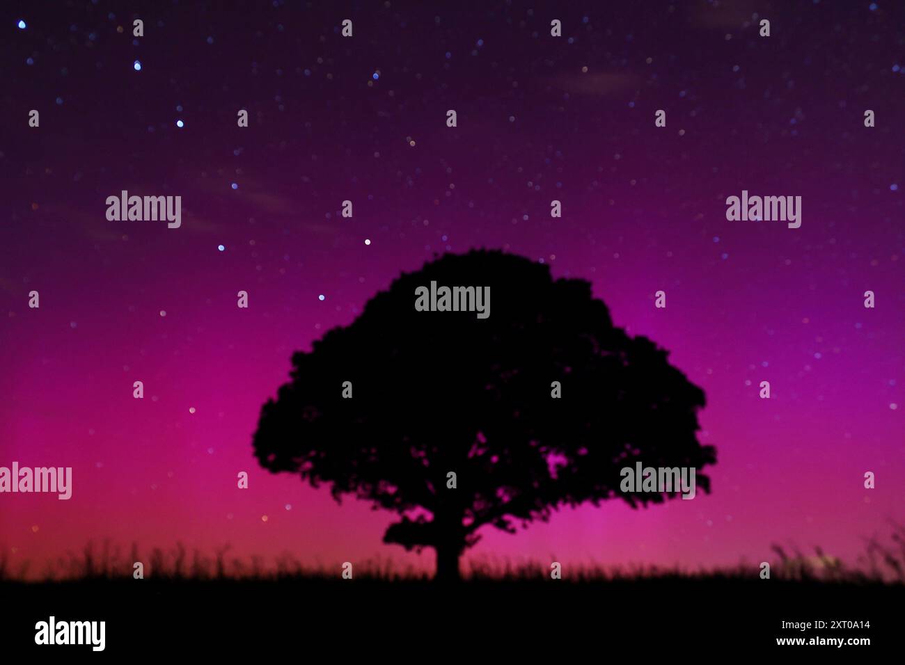 Dunsford, Devon, UK. 13th Aug, 2024. Supernatural Northern lights over ...