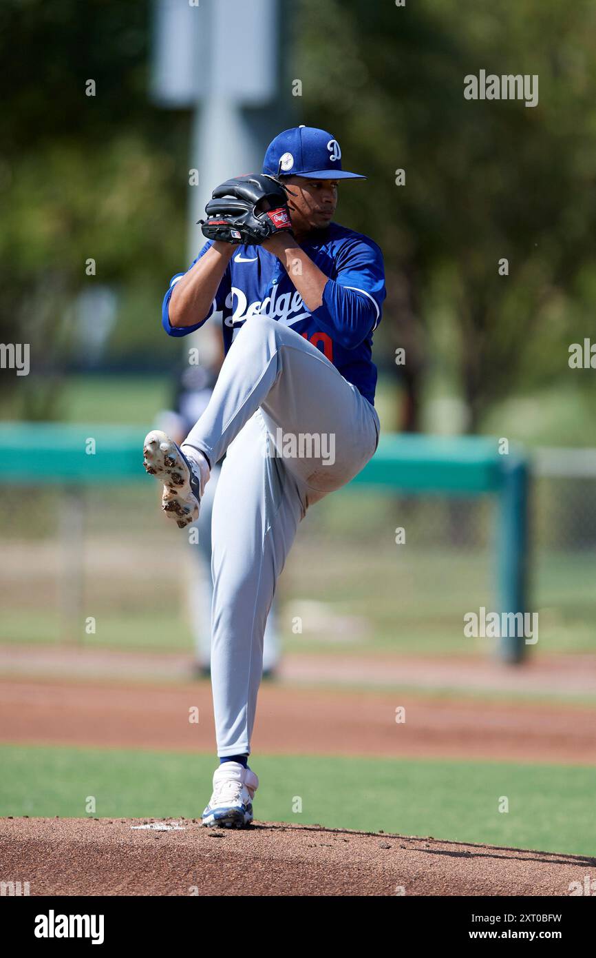 Los Angeles Dodgers pitcher Nicolas Cruz (10) delivers a pitch during ...