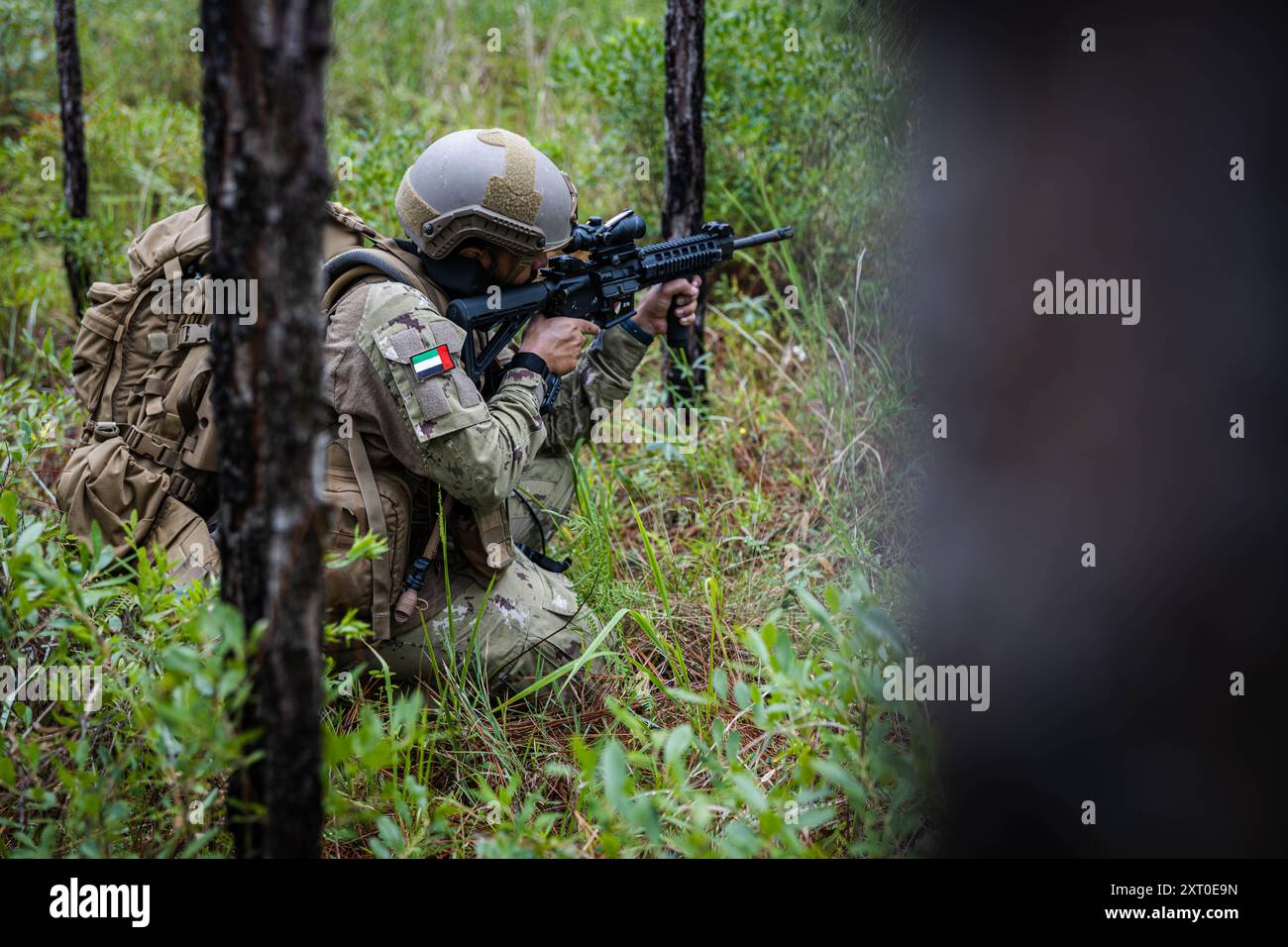 A United Arab Emirates soldier with the Falcon’s Brigade, Presidential ...