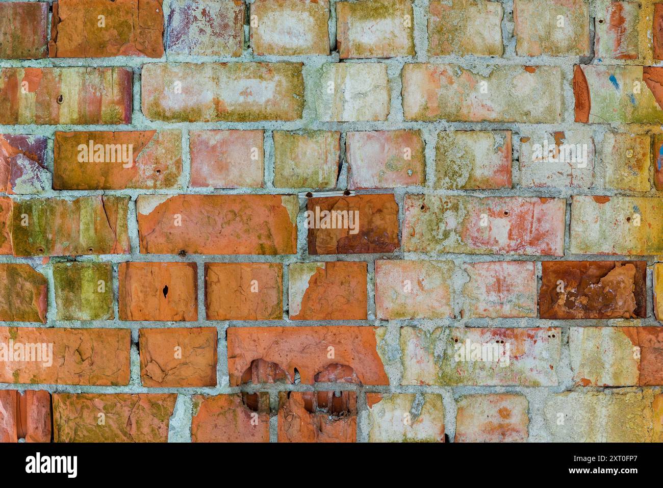 Mossy Brick Texture Moss Covered Stone Wall Texture For Natural Design
