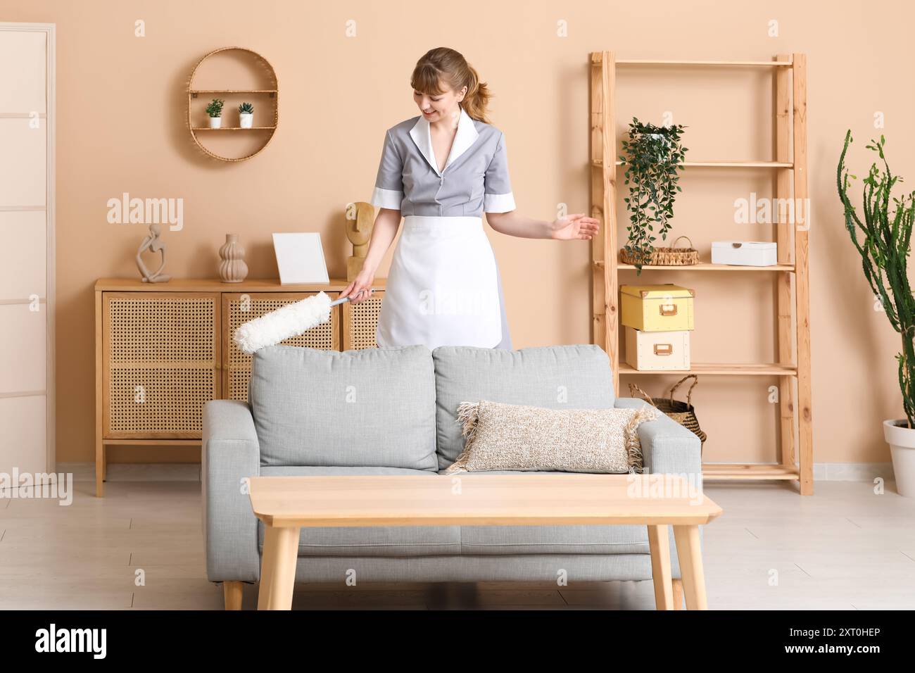 Maid with hand duster cleaning sofa in living room Stock Photo - Alamy