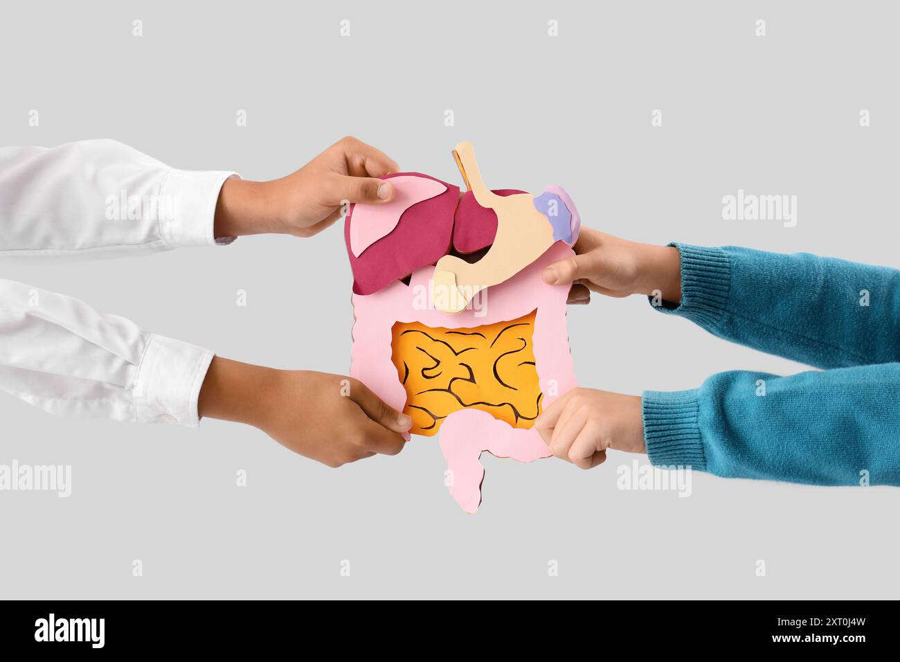Little boys with paper digestive system on light background Stock Photo ...