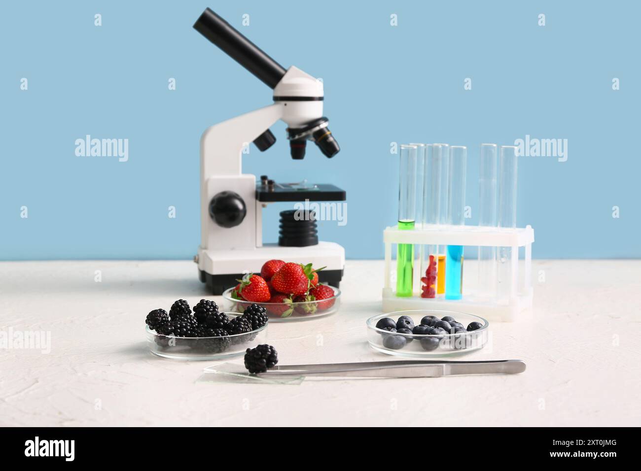Professional laboratory glassware with microscope and berries in Petri ...