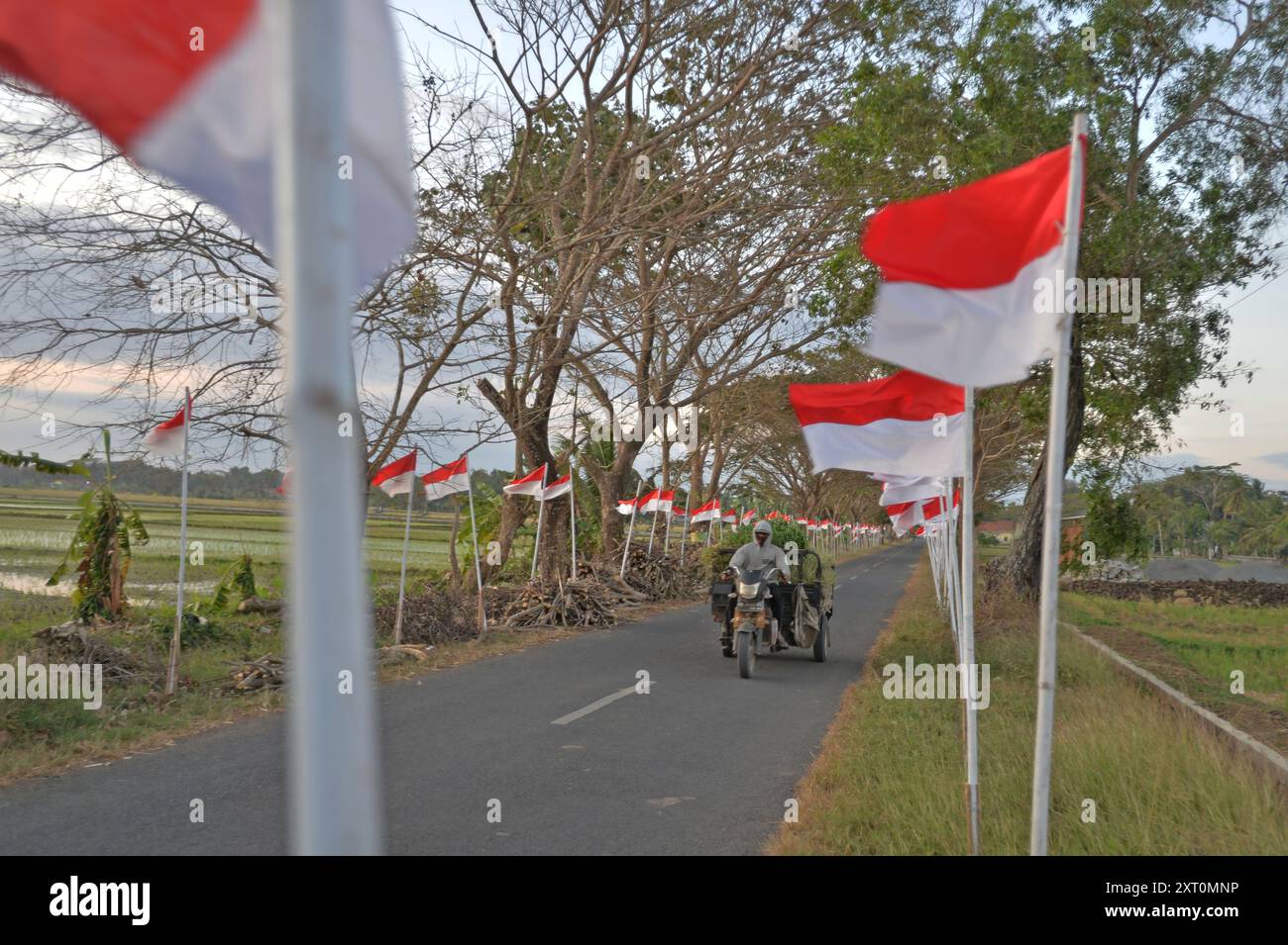 Purworejo, Central Java, Indonesia. 11th Aug, 2024. Thousands of Red and White flags each ...