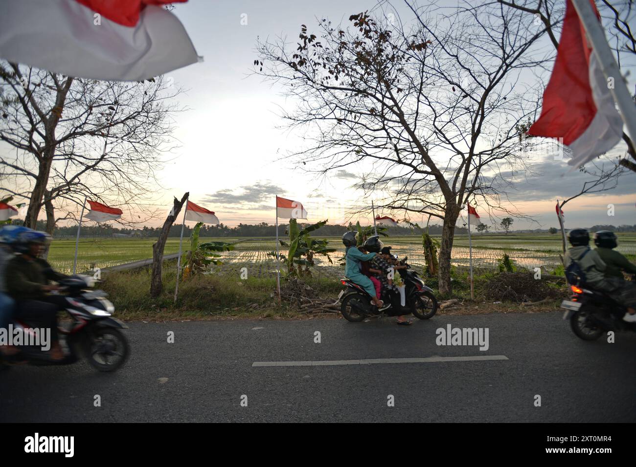 Purworejo, Central Java, Indonesia. 11th Aug, 2024. Thousands of Red and White flags each ...