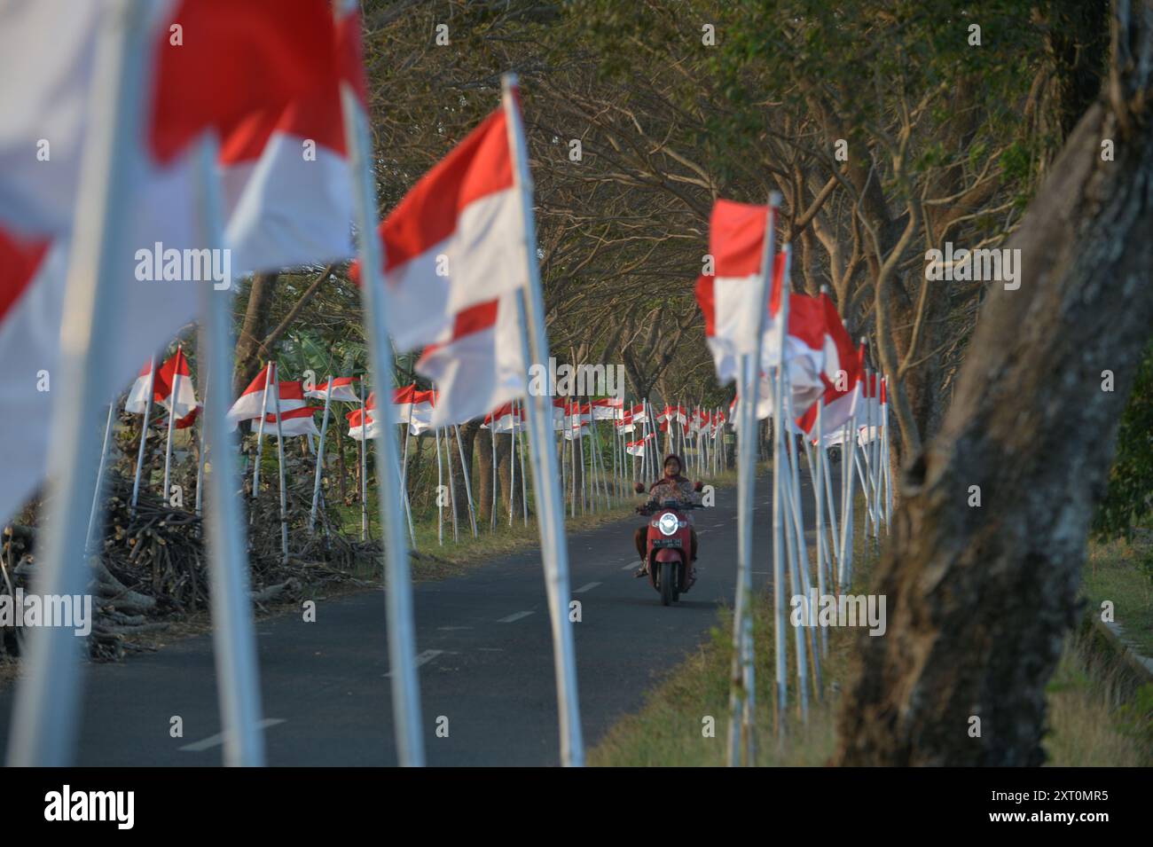 Purworejo, Central Java, Indonesia. 11th Aug, 2024. Thousands of Red and White flags each ...