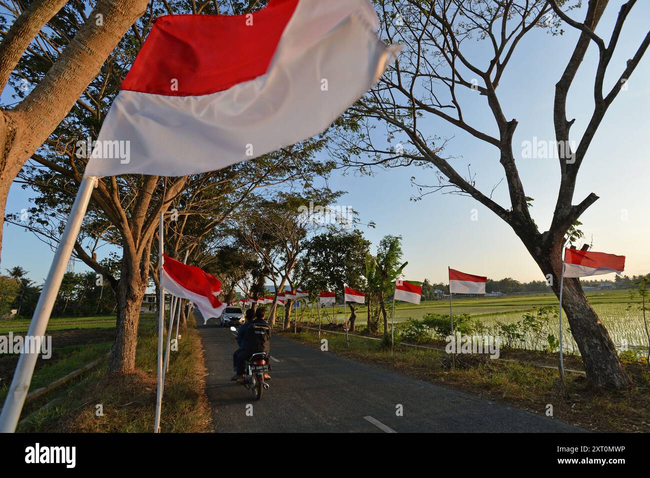 Purworejo, Central Java, Indonesia. 11th Aug, 2024. Thousands of Red ...