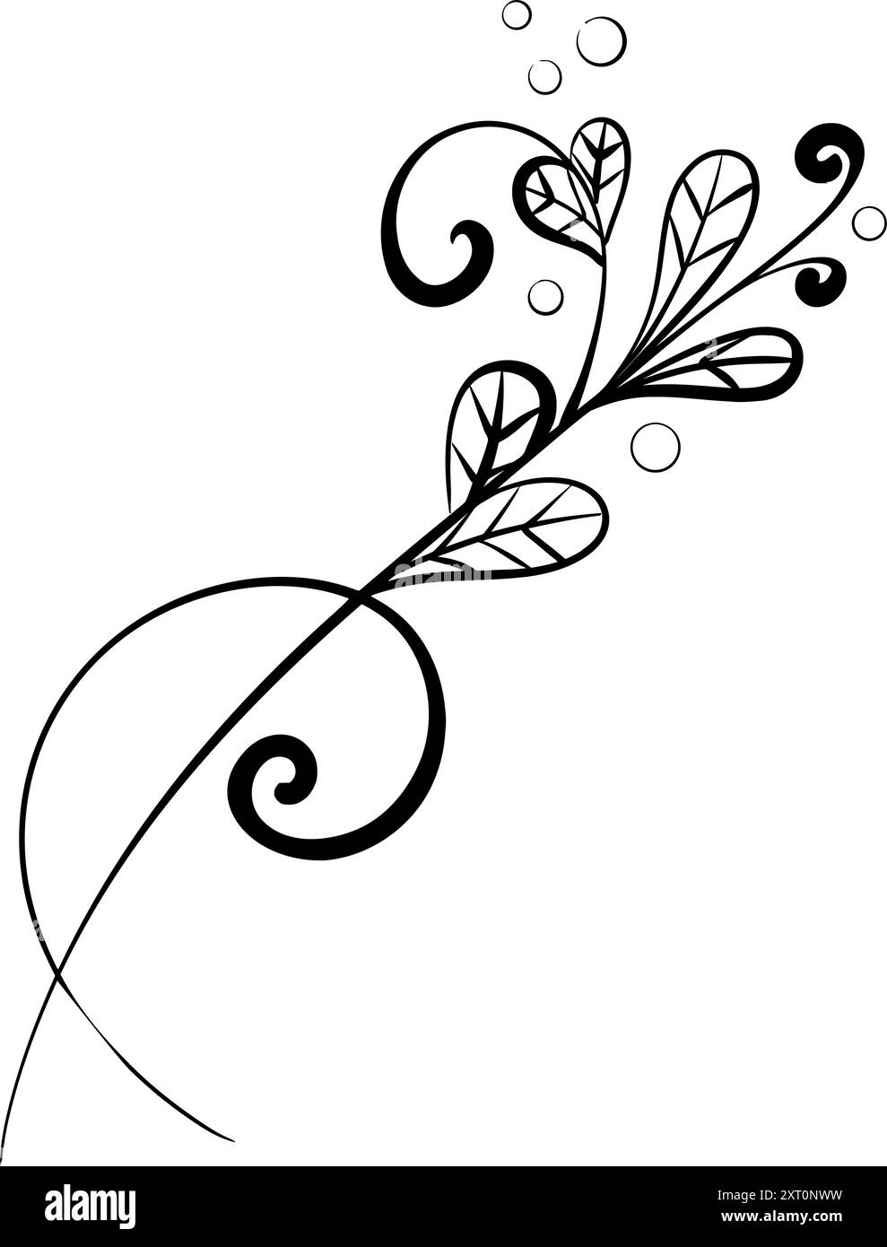 Vector brunch, doodle element swirl leaves romantic, isolated for ...