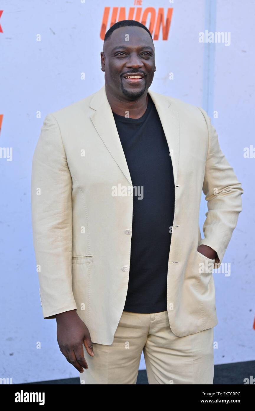 Hollywood, CA USA - August 12, 2024: Adewale Akinnuoye-Agbaje attends the premiere of Netflix's ...