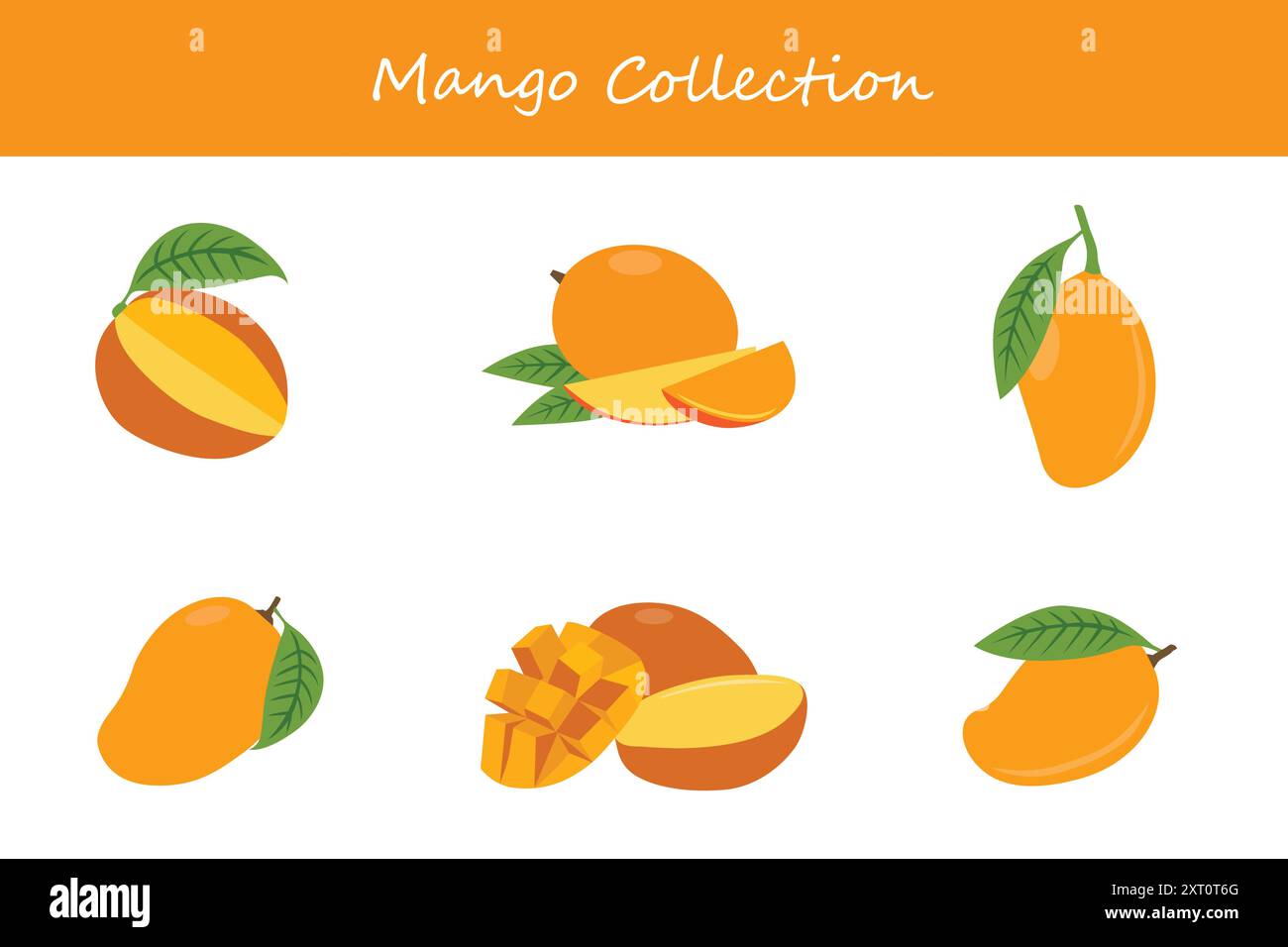 Mango botanical illustration hi-res stock photography and images - Alamy