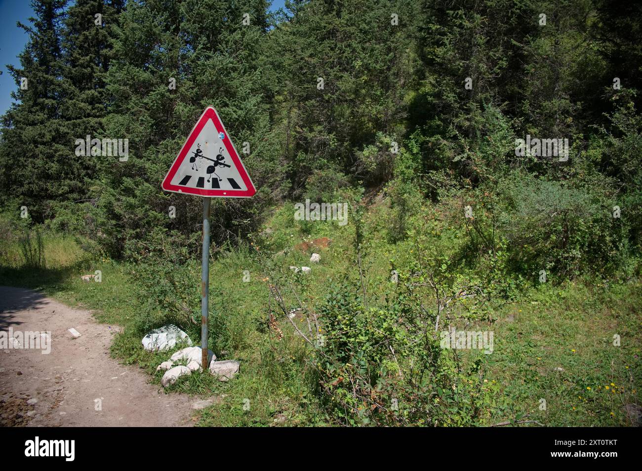 A traffic sign in the National Park warning that ants are crossing the ...
