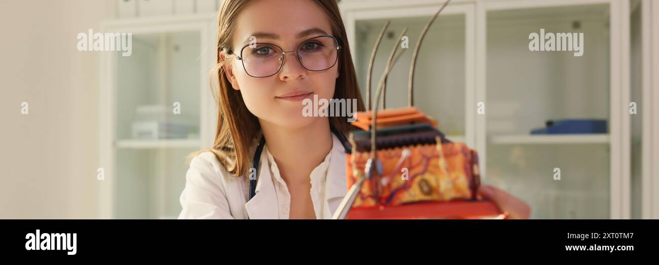 Dermatologist holding skin structure anatomy hi-res stock photography ...