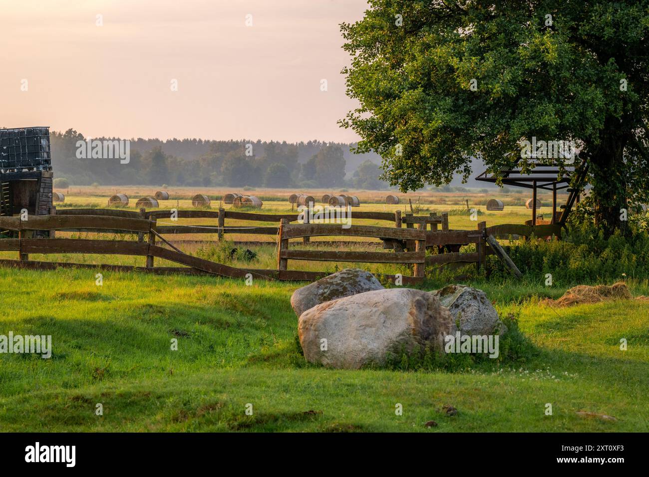 Rural landscape with a large beautiful tree, stone boulders and a ...